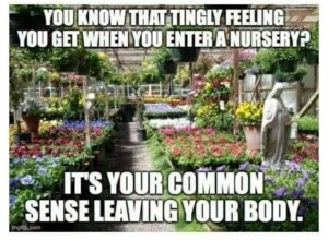 40 Funny Memes For People Who Love Their Plants -- Even If They Keep ...