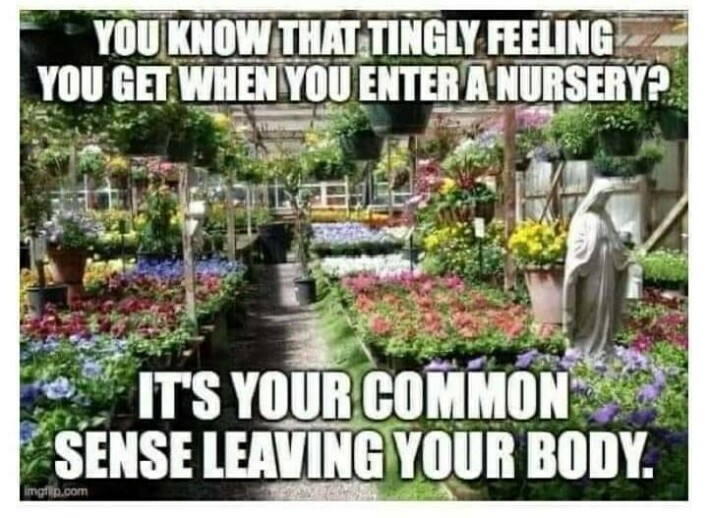 40 Funny Memes For People Who Love Their Plants -- Even If They Keep ...