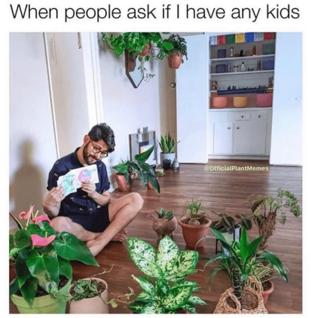 40 Funny Memes For People Who Love Their Plants -- Even If They Keep ...