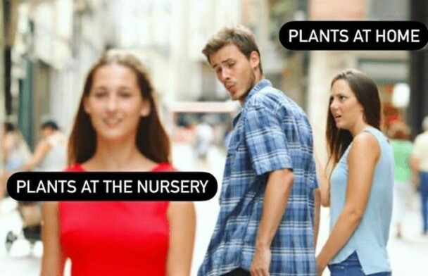 40 Funny Memes For People Who Love Their Plants -- Even If They Keep ...