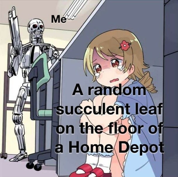 40 Funny Memes For People Who Love Their Plants -- Even If They Keep ...