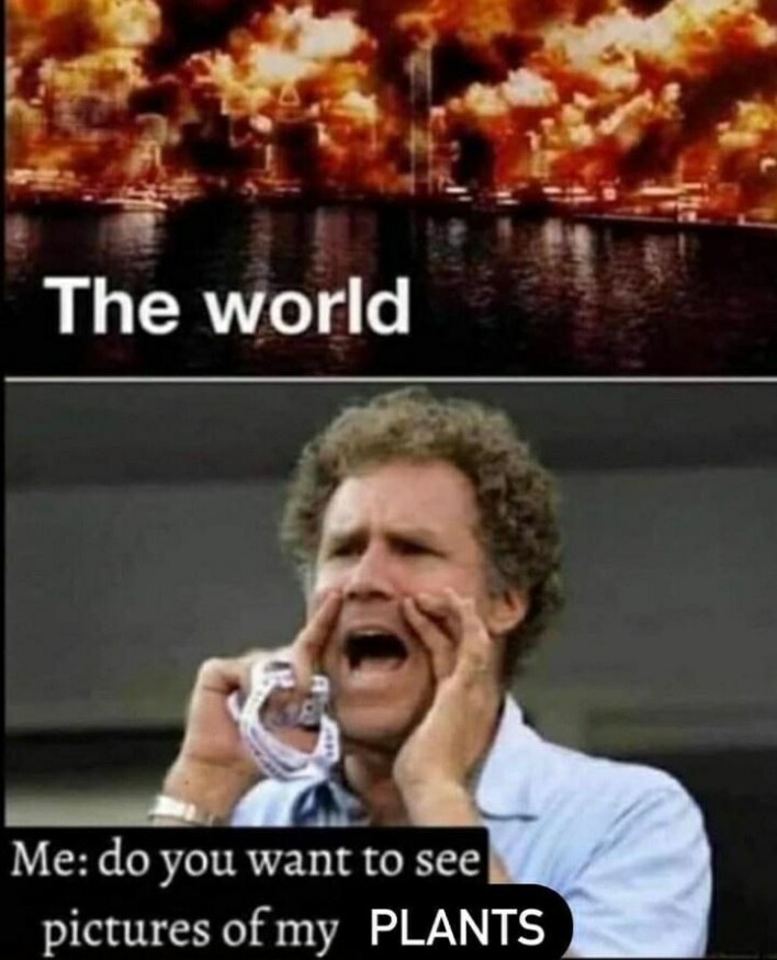 40 Funny Memes For People Who Love Their Plants -- Even If They Keep ...