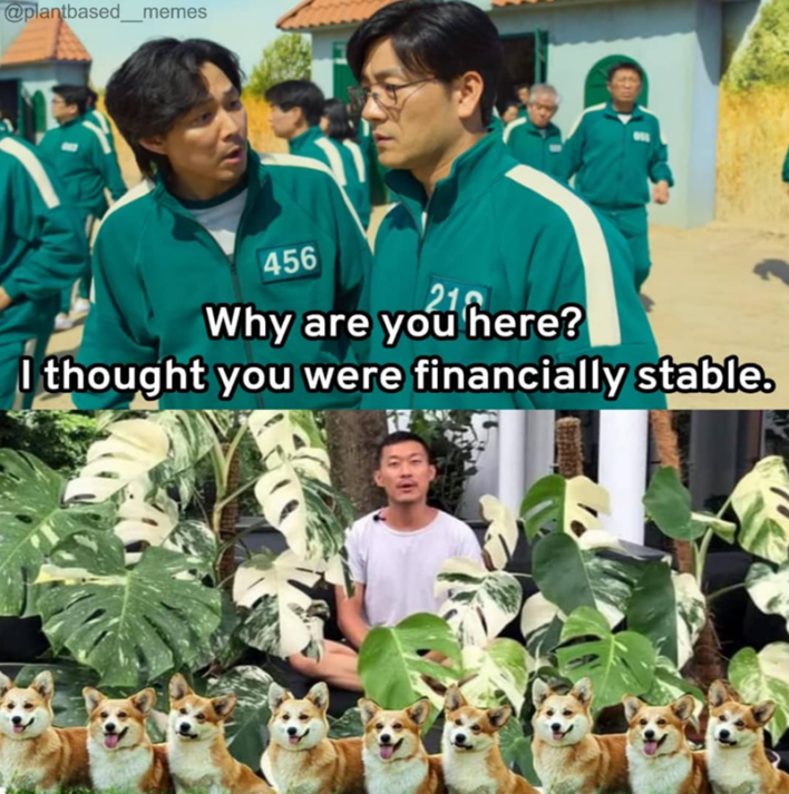 40 Funny Memes For People Who Love Their Plants -- Even If They Keep ...