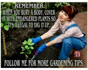 40 Funny Memes For People Who Love Their Plants -- Even If They Keep ...