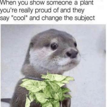 40 Funny Memes For People Who Love Their Plants -- Even If They Keep ...