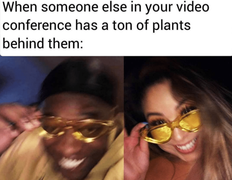 40 Funny Memes For People Who Love Their Plants -- Even If They Keep ...