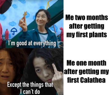 40 Funny Memes For People Who Love Their Plants -- Even If They Keep ...