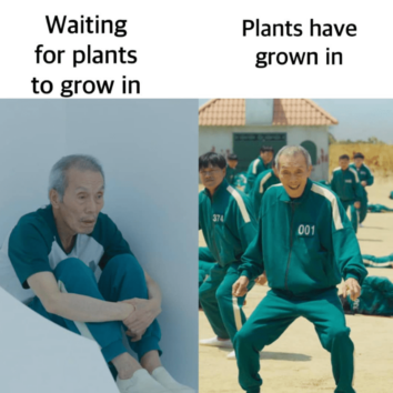 40 Funny Memes For People Who Love Their Plants -- Even If They Keep ...