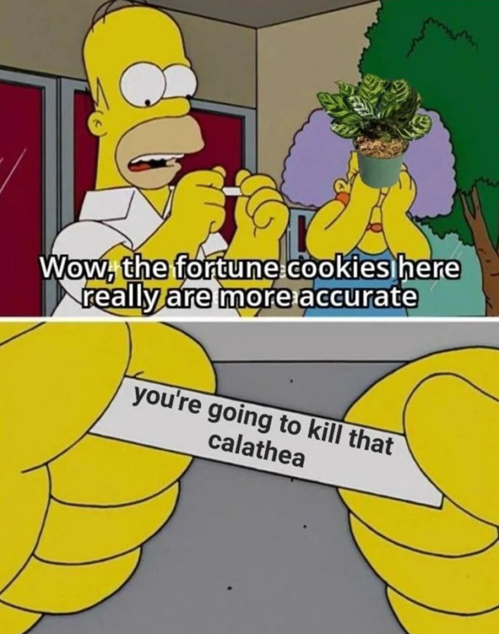 40 Funny Memes For People Who Love Their Plants -- Even If They Keep ...