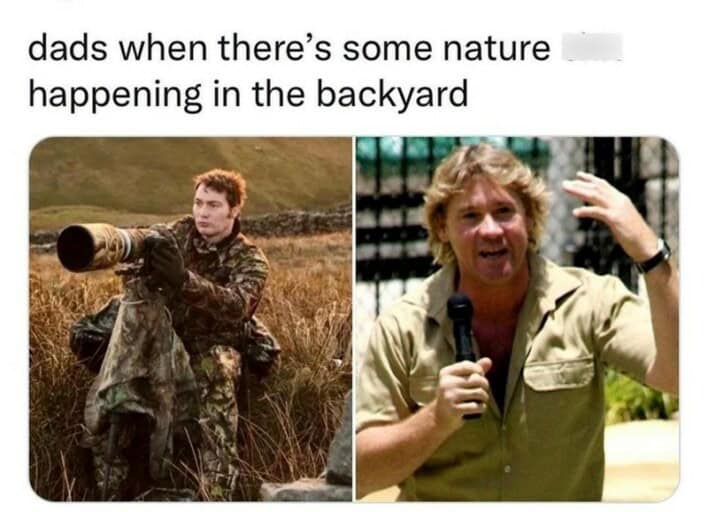 50 Trending Afternoon Memes Are The Latest And Greatest In Internet ...