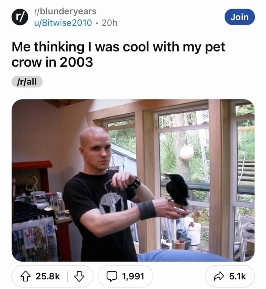 50 Trending Afternoon Memes Are The Latest And Greatest In Internet ...