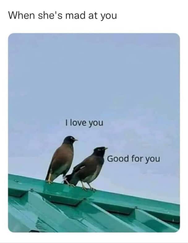 50+ Funny Memes For Married Couples Who Nag And Love In Equal Measure ...