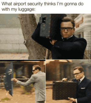 50 Funny Memes About Flying That Won't Fall Apart Mid-Flight