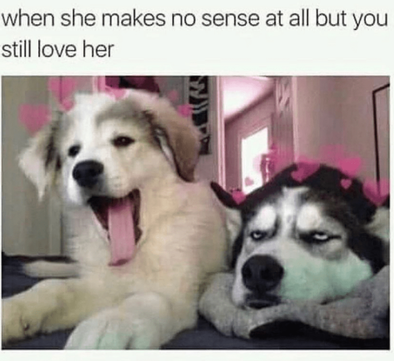 46 Funny Relationship Memes to Send Your Significant Other Immediately