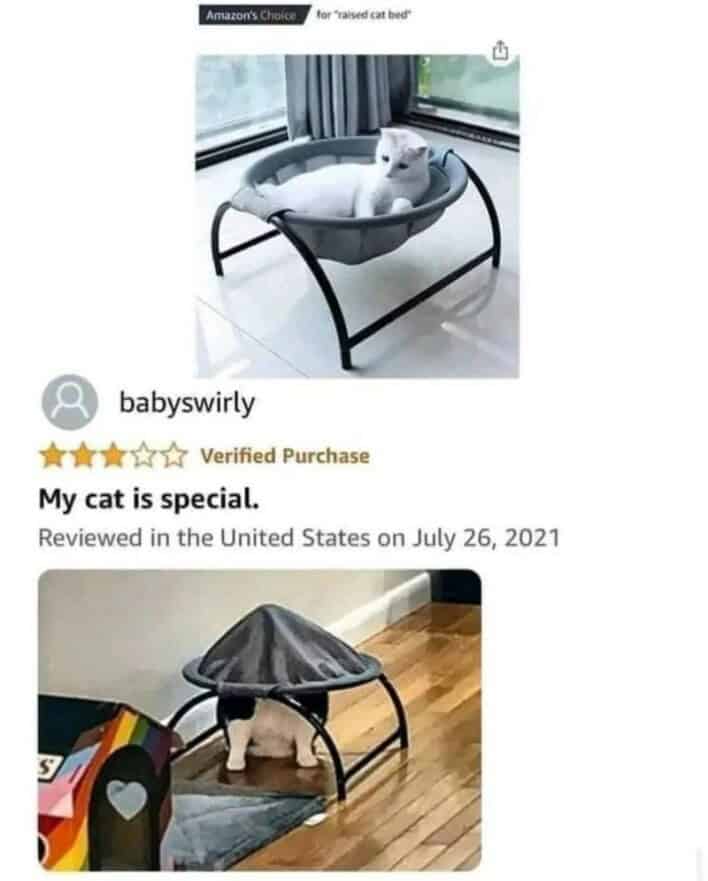 61 Funny Trending Memes Will Make You Thankful The Internet Exists (May ...