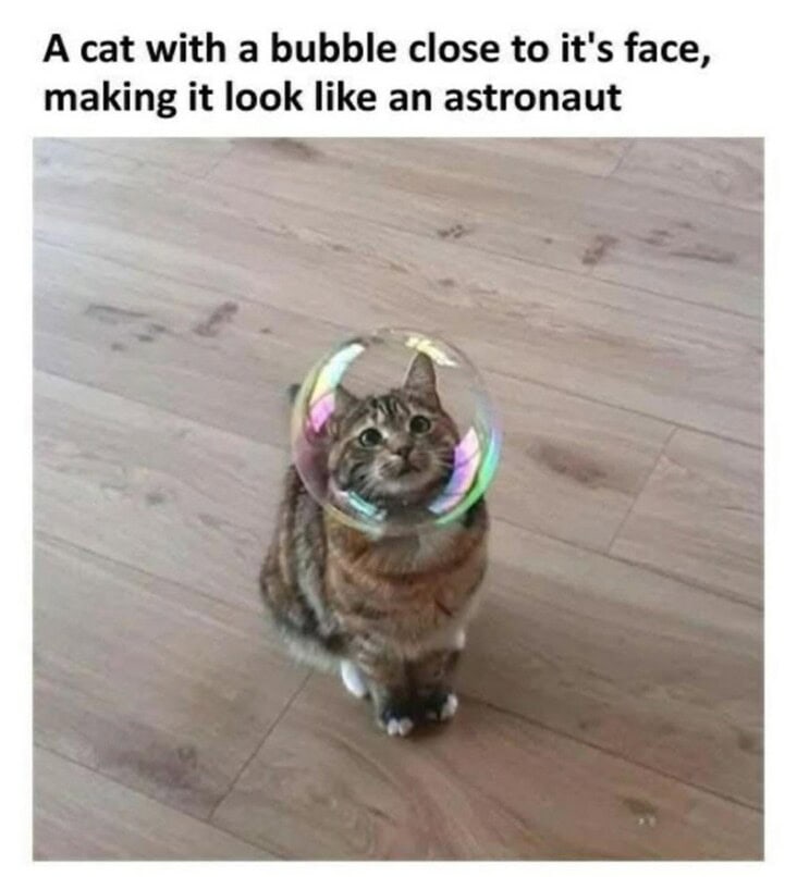 61 Funny Trending Memes Will Make You Thankful The Internet Exists (May ...