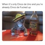 61 Funny Trending Memes Will Make You Thankful The Internet Exists (May ...