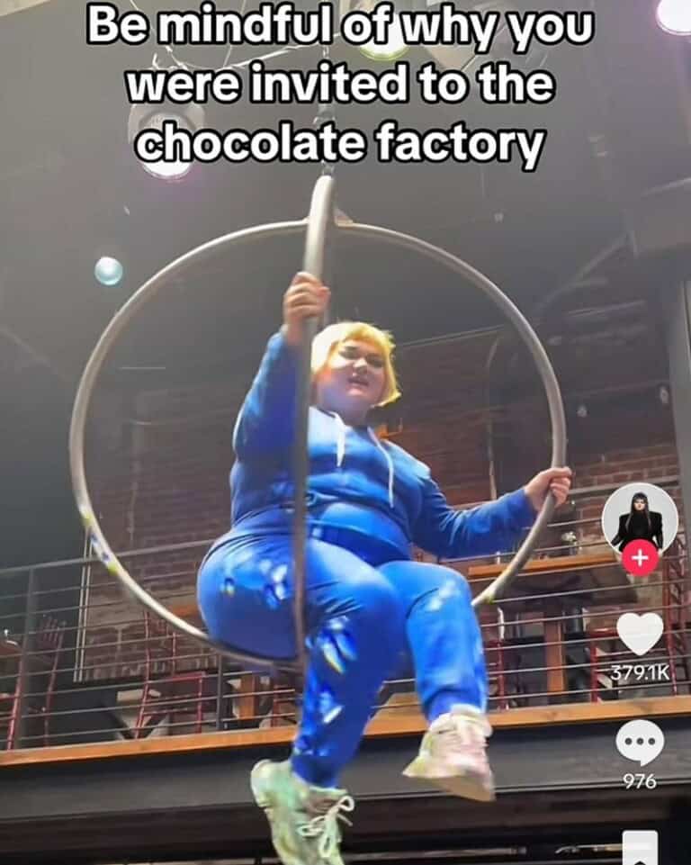 41 Funny TikTok Screenshots For Millennials Who Wouldn't Touch TikTok ...