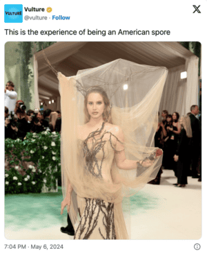 42 Of The Funniest 2024 Met Gala Memes That Are Simply Stunning
