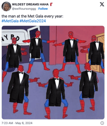 42 Of The Funniest 2024 Met Gala Memes That Are Simply Stunning