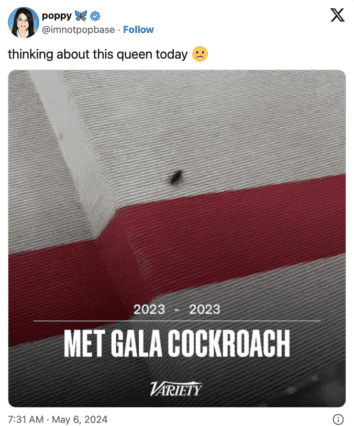 42 Of The Funniest 2024 Met Gala Memes That Are Simply Stunning