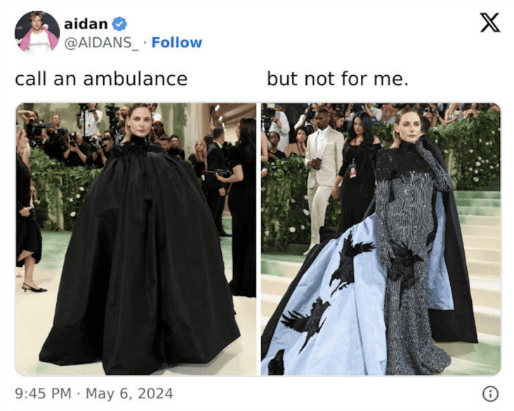 42 Of The Funniest 2024 Met Gala Memes That Are Simply Stunning
