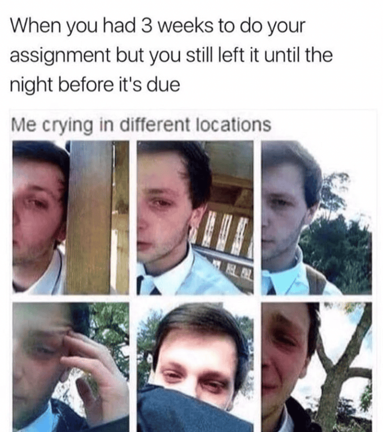 43 Funny Procrastination Memes To Read Instead Of Doing Something Important