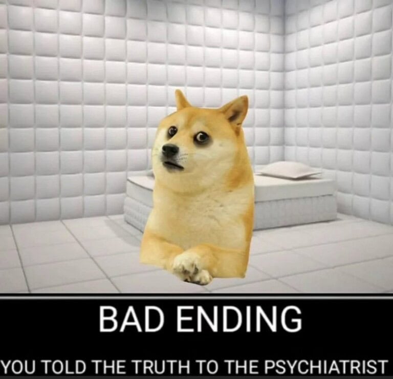 35 Paw-sitively Hilarious Dog Memes That Are A Real Treat (February 15 ...