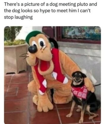 40 Funny Dog Memes That’ll Have You Barking With Laughter (March 19, 2025)