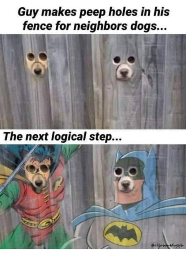 40 Funny Dog Memes That’ll Have You Barking With Laughter (March 19, 2025)