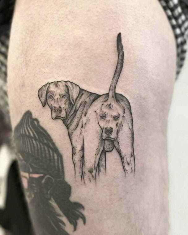 30 Funny Tattoo Fails So Bad That Honestly They're Kind Of Amazing