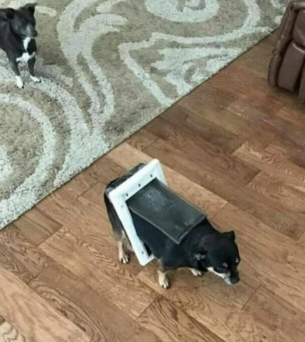 25 Funny Fails From Around the Internet This Week That Deserve a Slow Clap