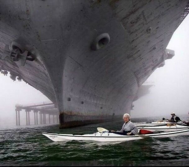 26 Terrifyingly Huge Things That Make People Deeply Uncomfortable