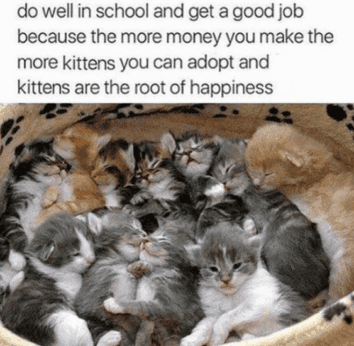 20 Cute Cat Memes That’ll Warm Your Cold, Dead WiFi-Addicted Heart
