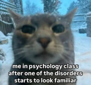 30 Funny Mental Health Memes That Understand You Better Than Your Therapist